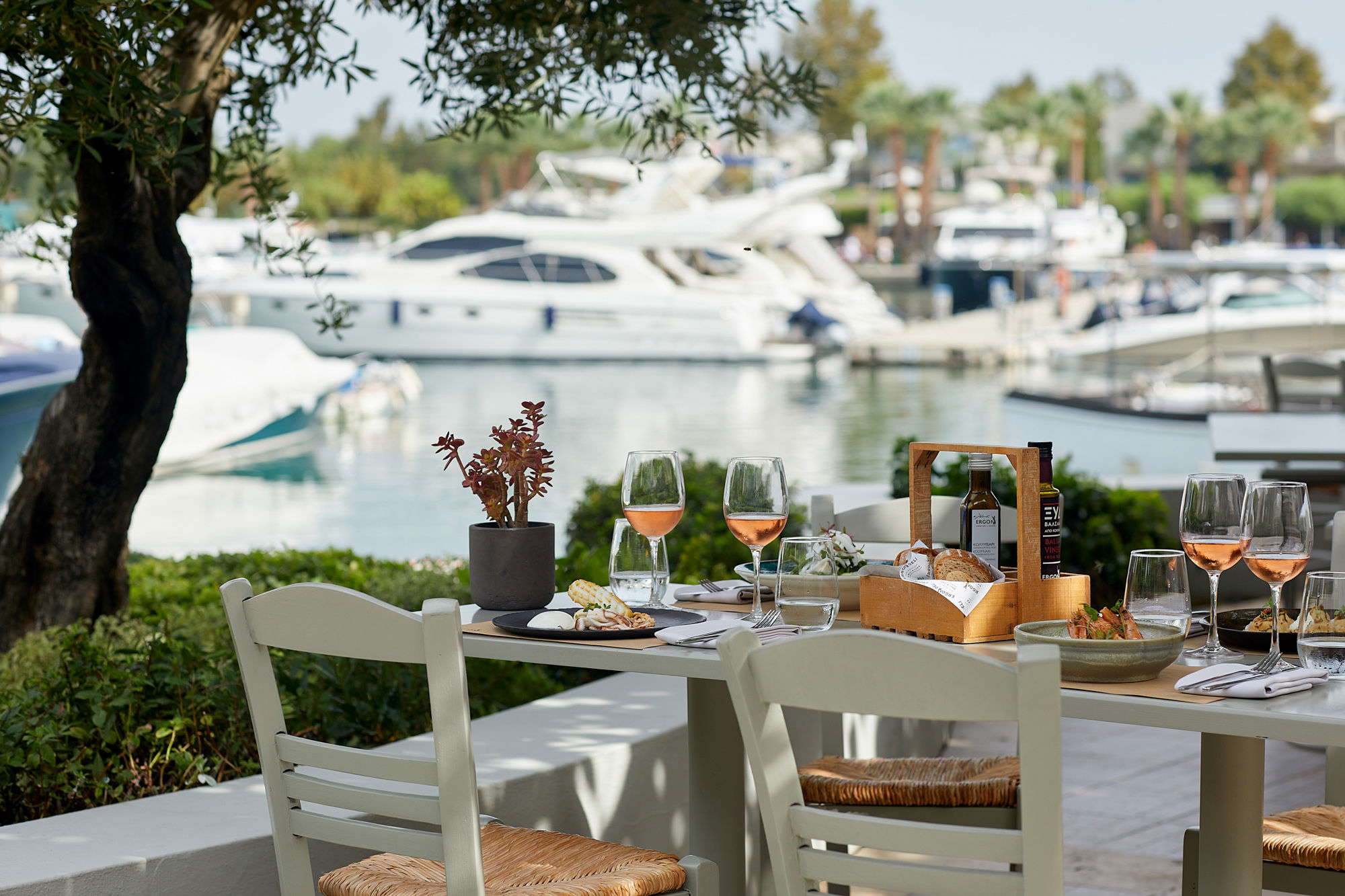 Ergon Deli Restaurant - Sani Marina Halkidiki | Sani Resort